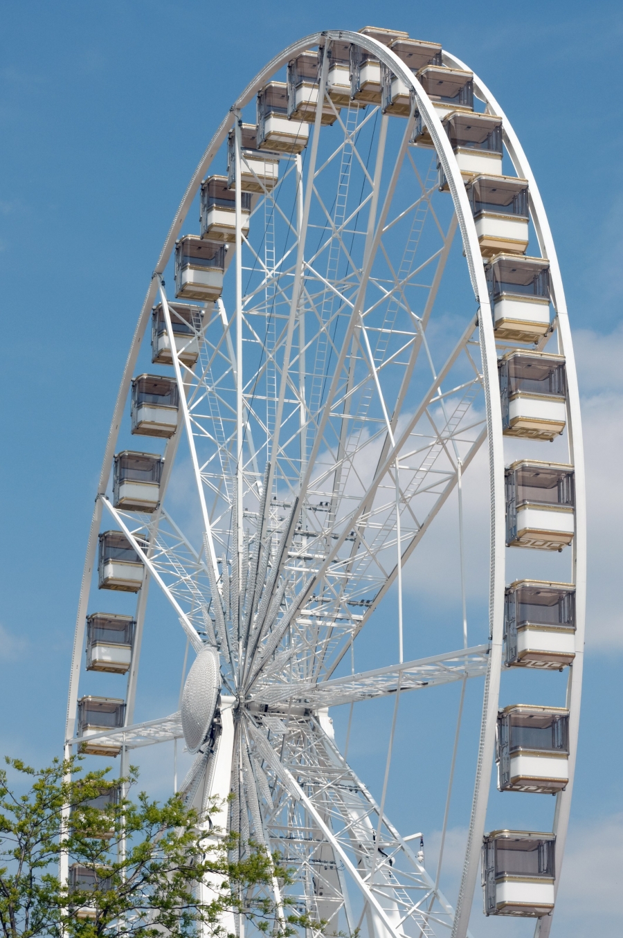 Fixed – Mondial Rides